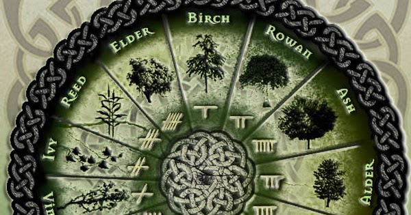 Tiphareth Tarot & Astro: Celtic Tree Calendar - the month of Ash