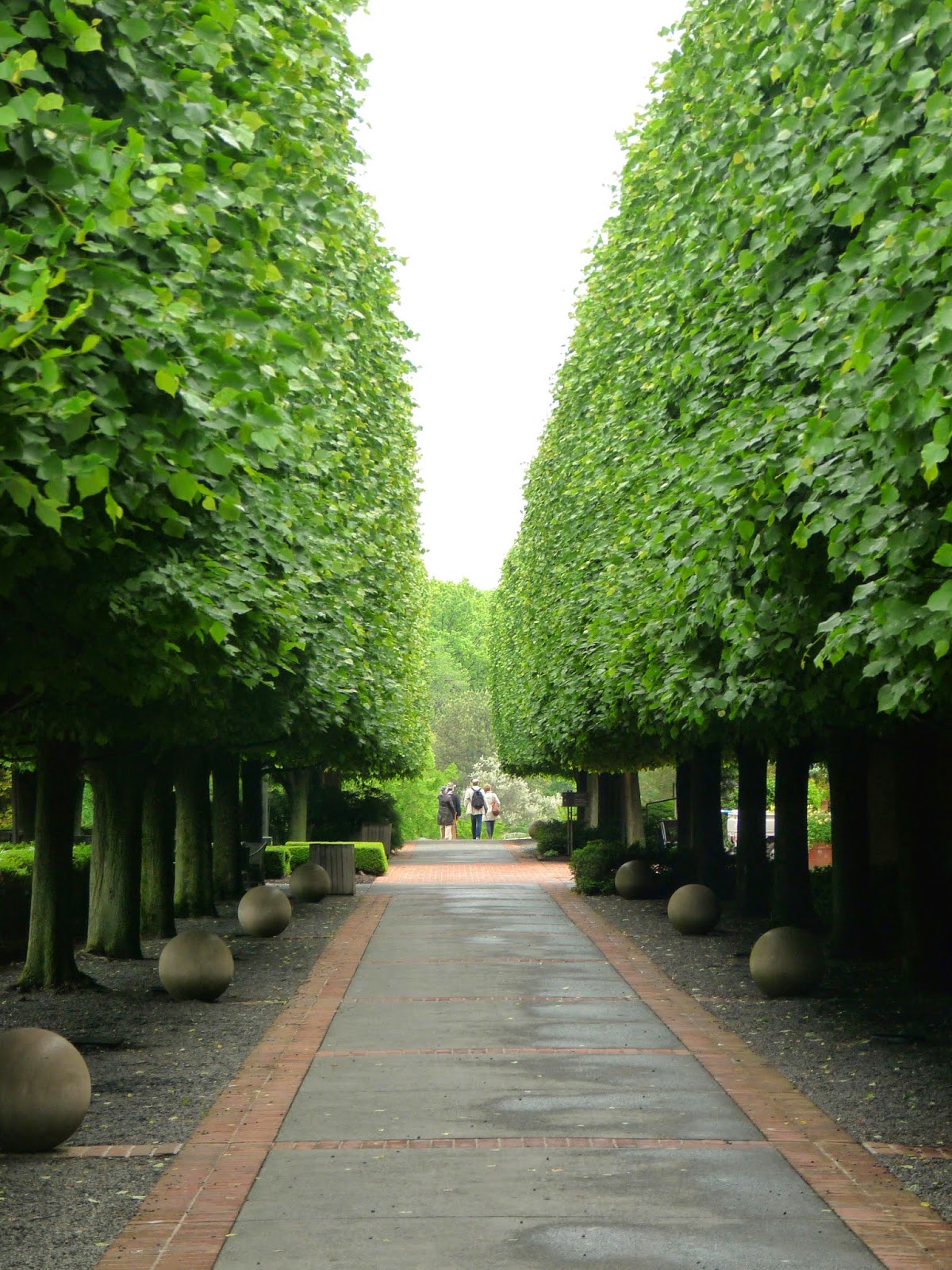 En el jardin: Jardín Botánico de Chicago: vale la pena.
