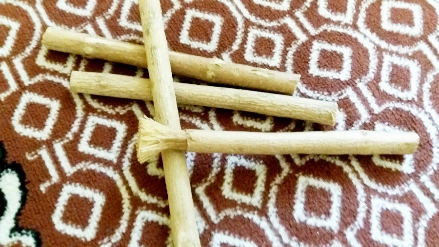 Tata Cara Bersiwak Dan Sejuta Manfaatnya - Teh Goyang