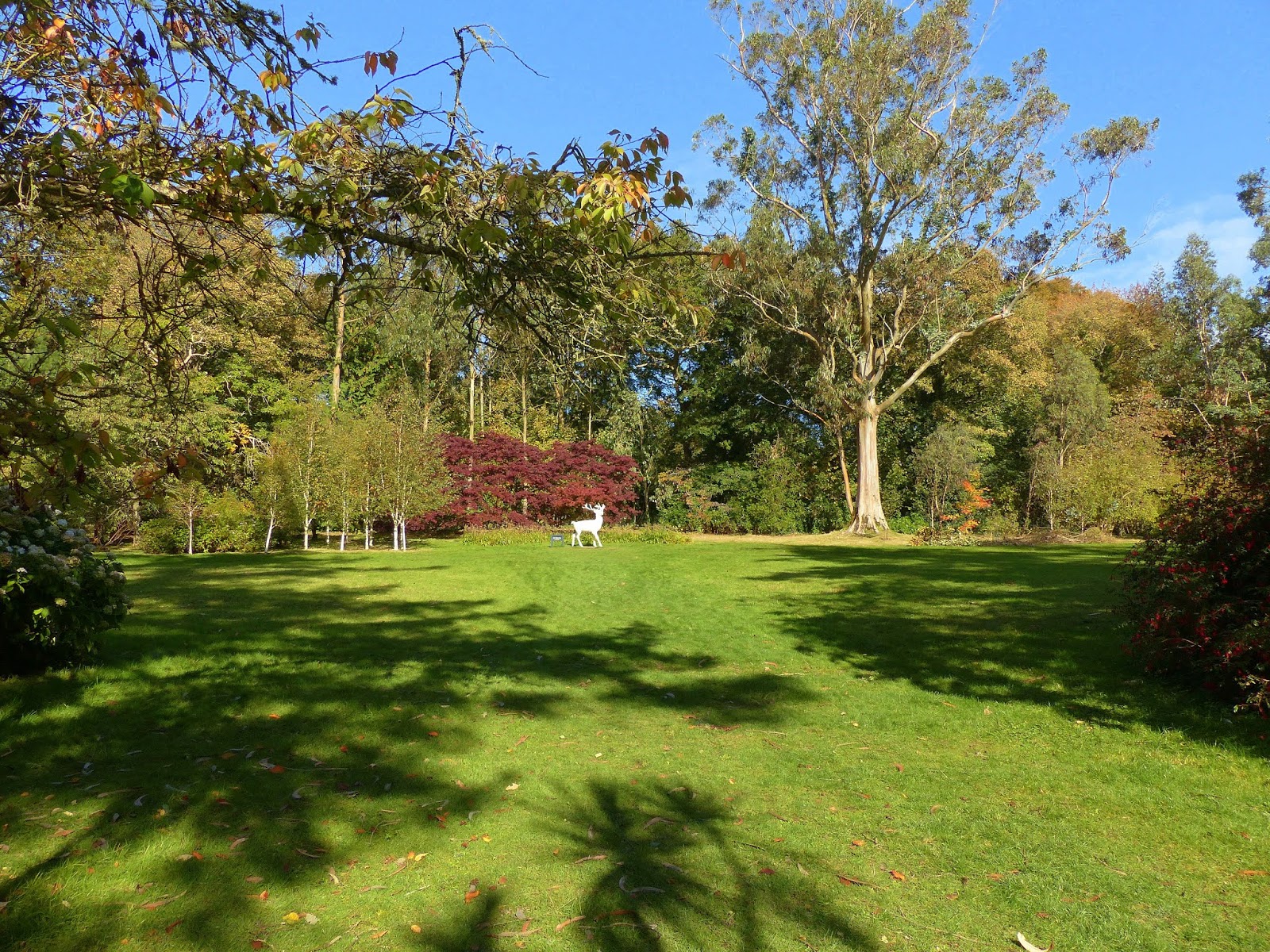 Birding For Pleasure: Walk with Neil Porteous at Mount Stewart Gardens ...