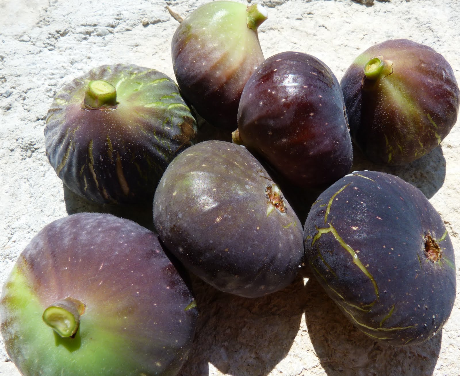 Deborah Lawrenson: Figs falling