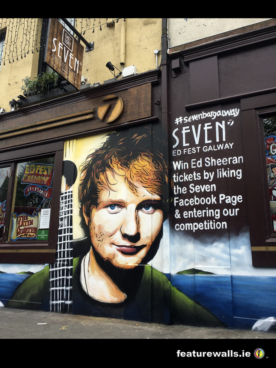 Mural Painting Professionals featurewalls.ie