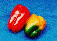 not extraordinary note..: chilling injury of horticultural crops