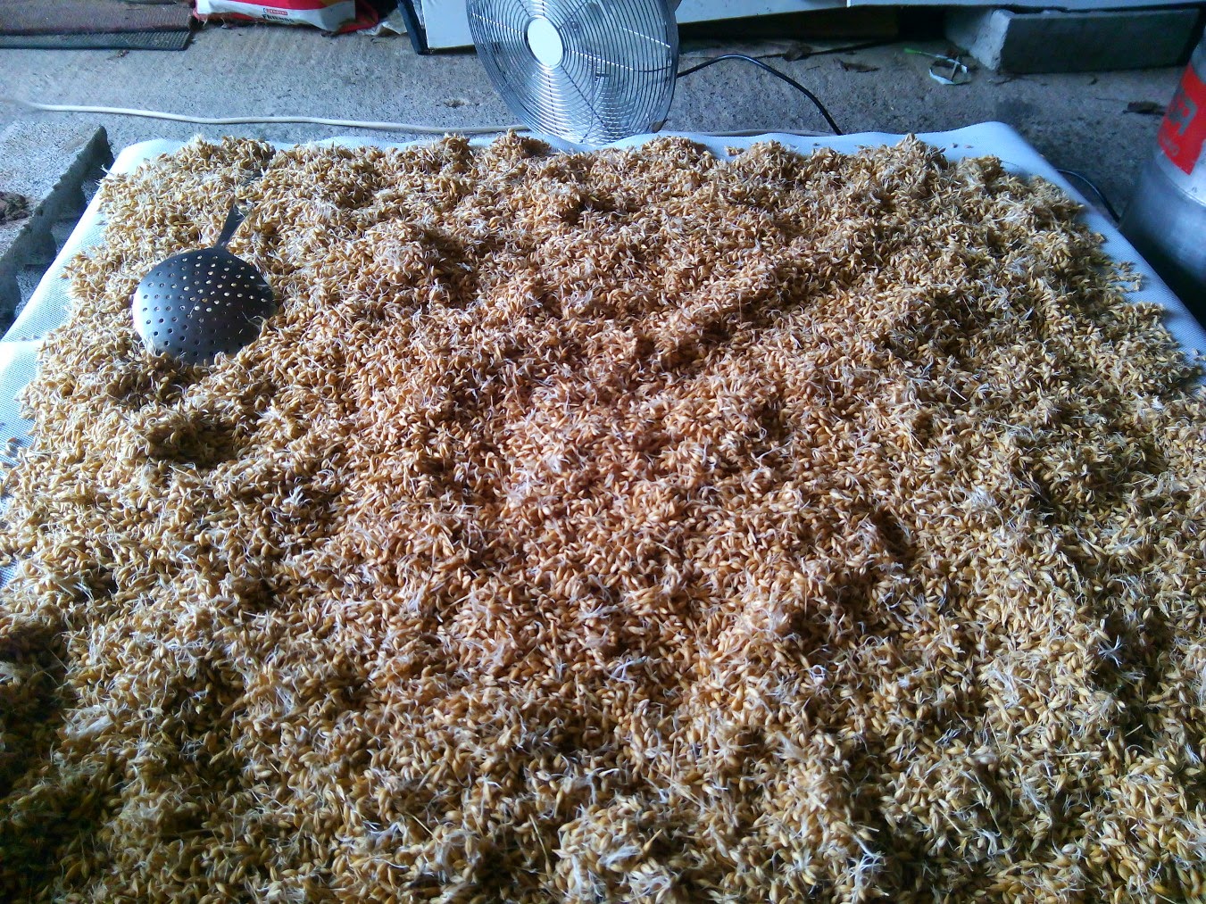 Cuaderno de anillas: MALTEADO DE CEBADA Y MÁS.