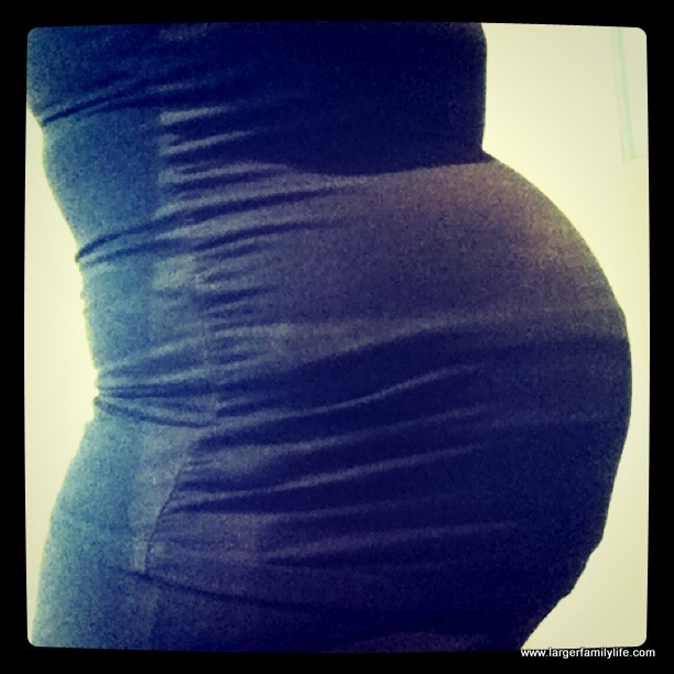 Twin Pregnancy Diary - 25 weeks 2 days | Larger Family Life