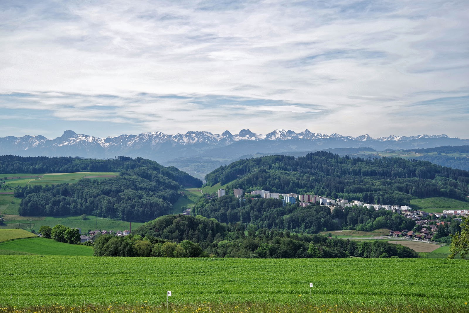 Wanderbare Geschichten: Elefanten Safari am Bantiger