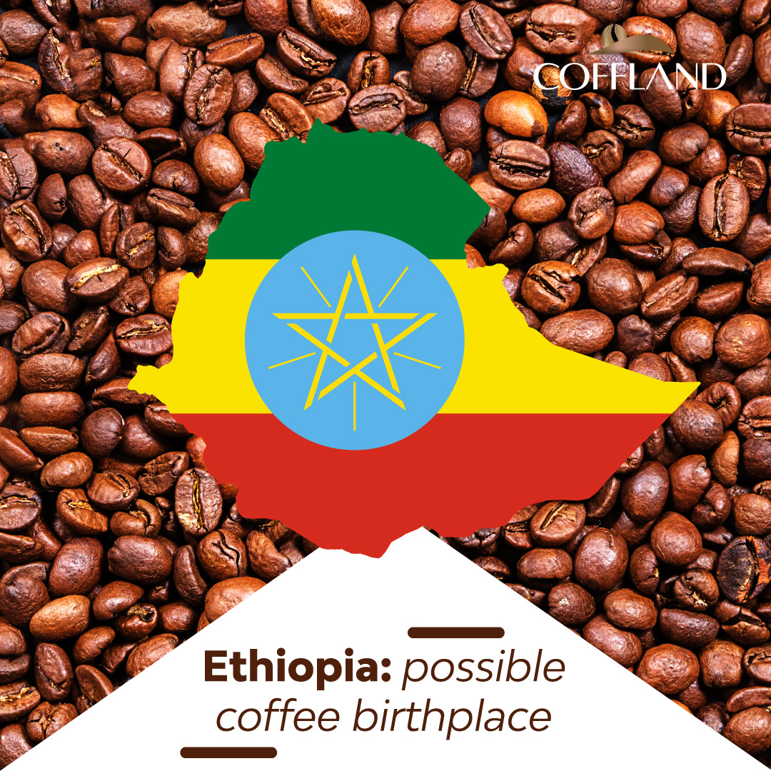 Coffland Corp: The Ancient Ritual of Ethiopian Coffee Brewing