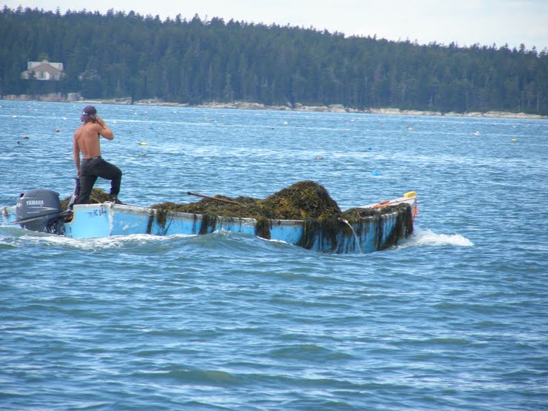 ADVNTURUNLIMITD 2011: Mistake Island, Maine