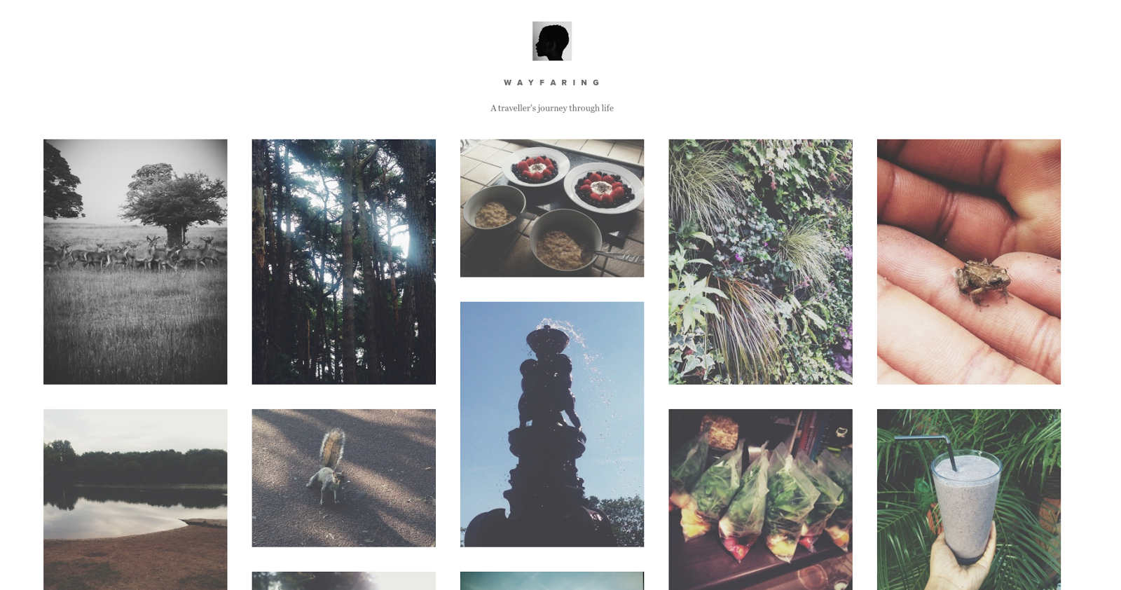 A Designers Perspective: VSCO vs INSTAGRAM?