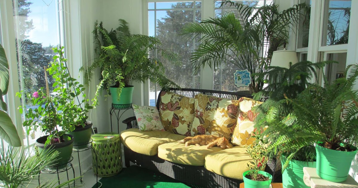 Garden Fancy: Garden Showcase