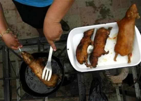 Exotic Woman: Dagang Bukid/ Philippine Farm Rats