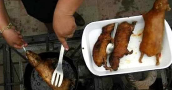 Exotic Woman: Dagang Bukid/ Philippine Farm Rats