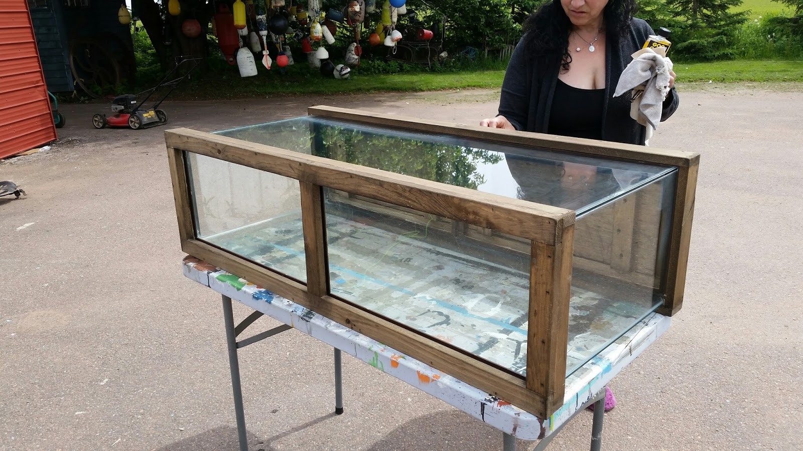Display Case from Fish Aquarium