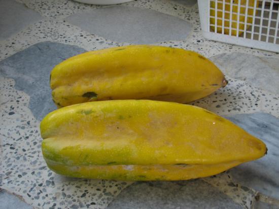 Fruit Warehouse: Babaco ( Vasconcellea × heilbornii )