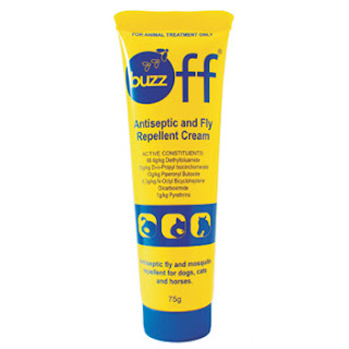 Travel Accessories for Your Dog | Australian Dog Lover