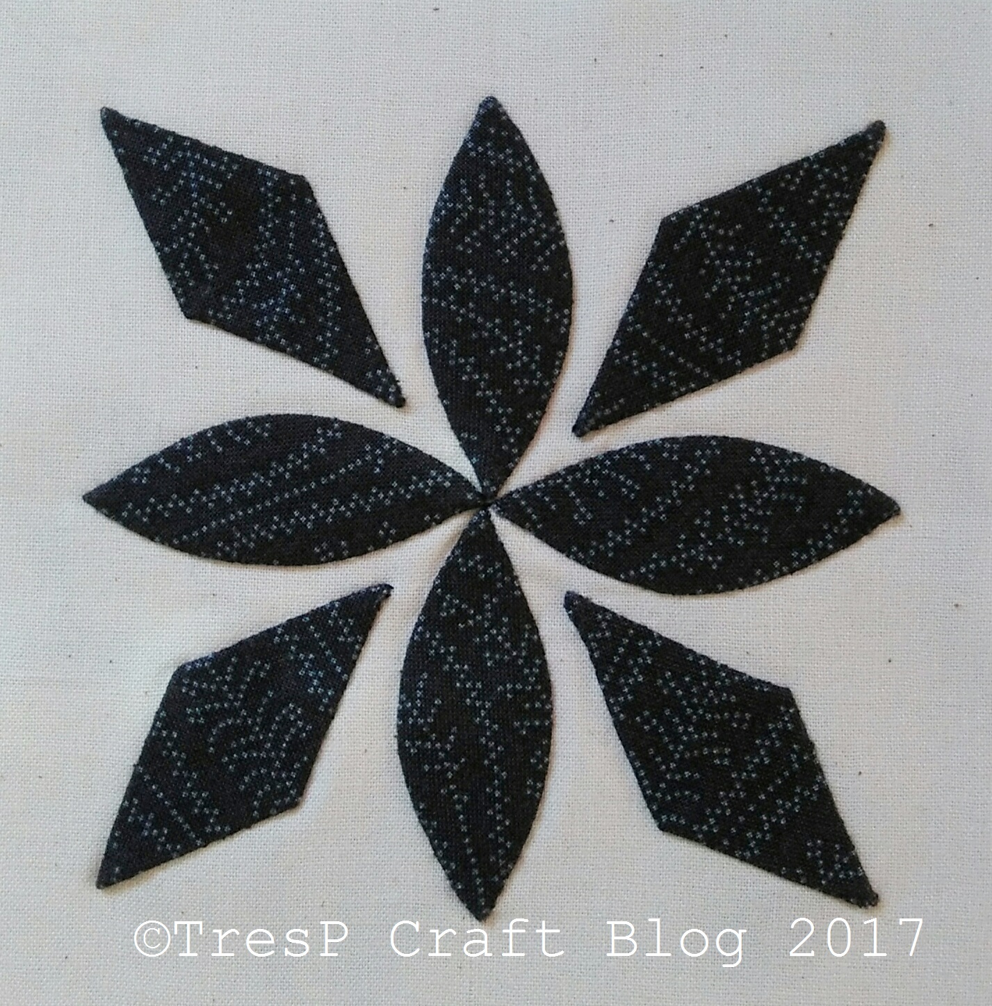 TresP craft blog: Dear Jane