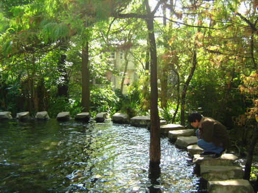 Club de Amig@s de los Ahuehuetes