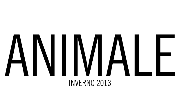 Virtuose Boutique: ANIMALE: COLEÇÃO INVERNO 2013!!!