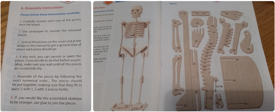 Life As Kim: Science 4 You 3D Wooden Puzzle - Skeleton - Review!!
