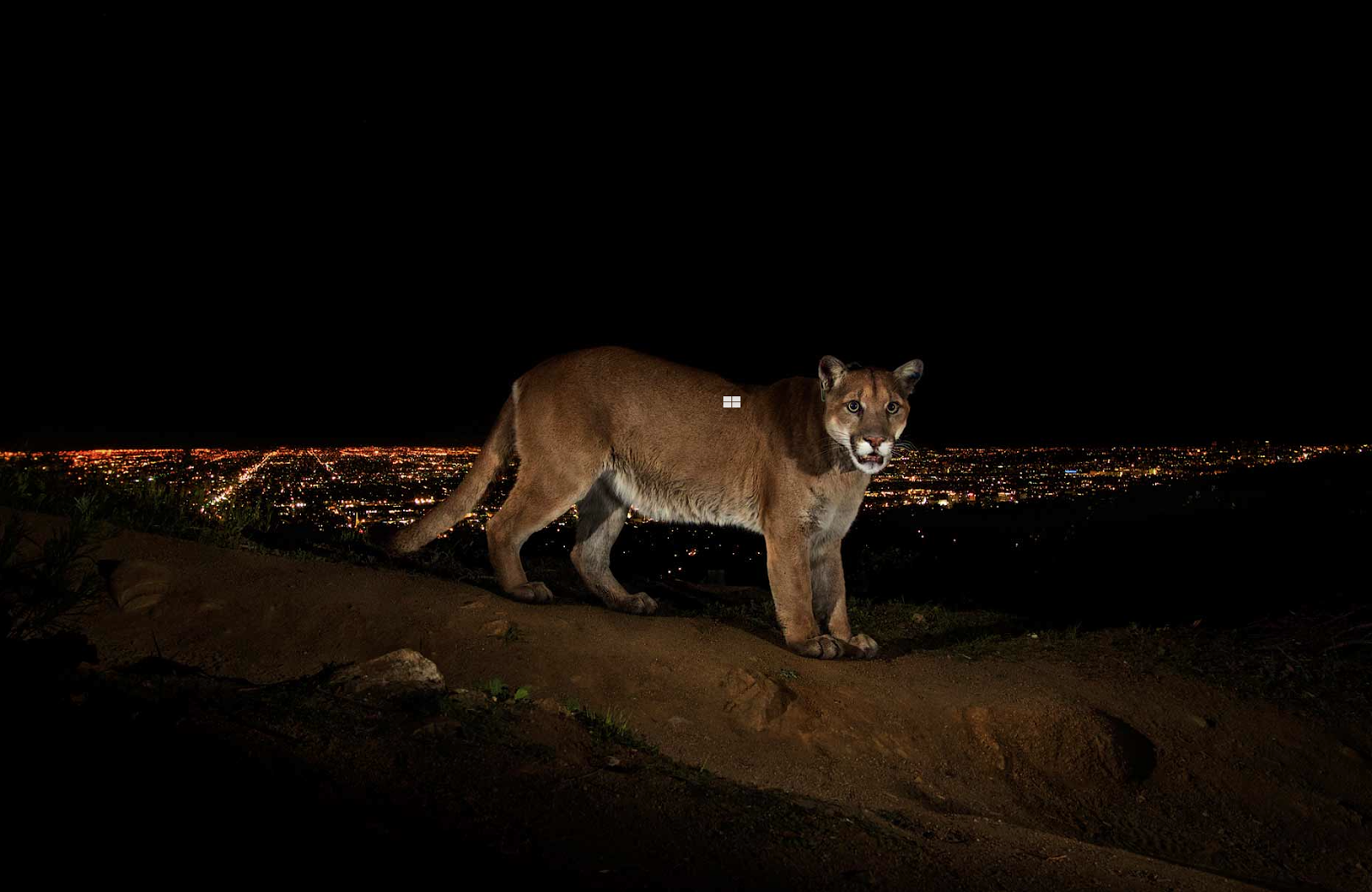 Unit 31 - Photography for media products: Steve Winter Photography ...