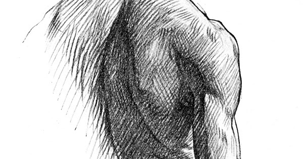 Shoulder Anatomy Clip Art 102216» Vector Clip Art - Free Clip Art Images