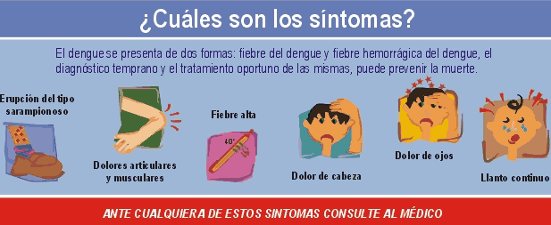 EL DENGUE: SIGNOS, SINTOMAS Y CLASES DE DENGUE