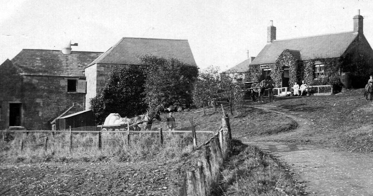 Tour Scotland: Old Photograph Letham Mill By Arbroath Scotland