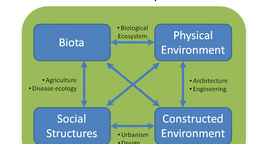 The Balto Brief: Seeking Nuance in the Human Ecosystem: Built Versus ...
