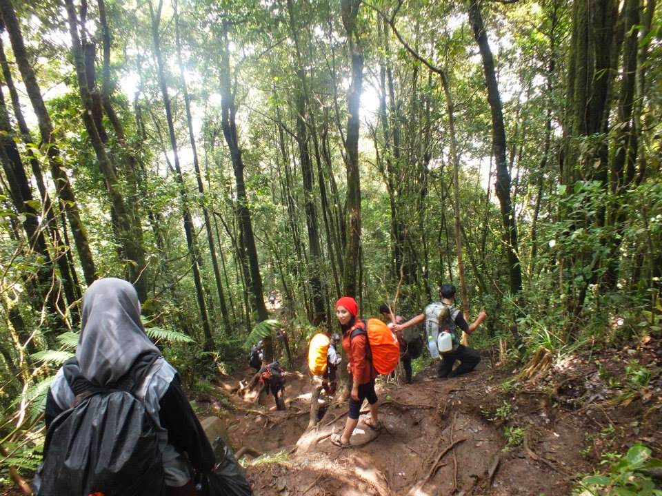 Pendakian Gunung Cikuray Garut Jawa Barat 2821 MDPL - My Foto Gallery