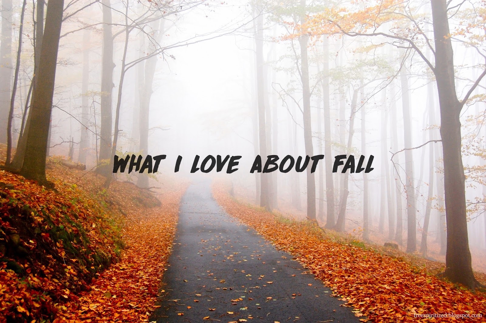 What I Love About Fall | FreeSpiritized