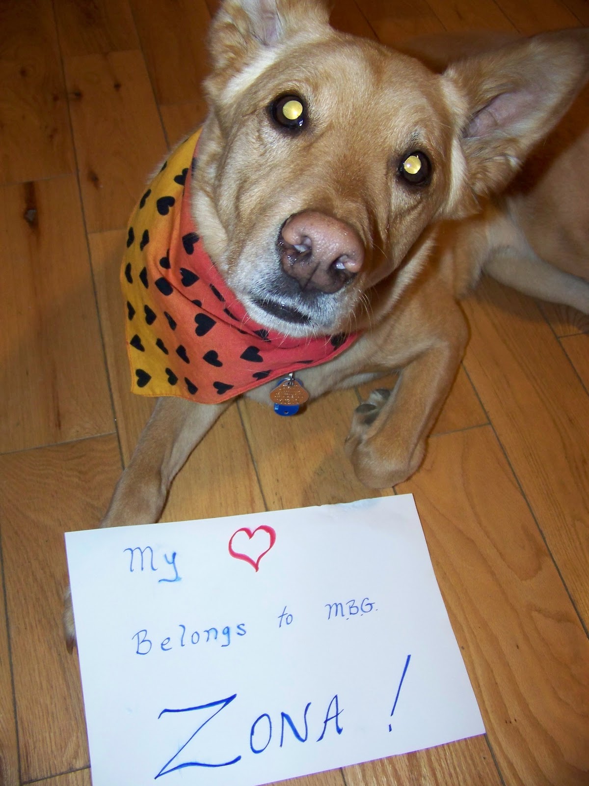 Women Knoted By A Dog Just Bcause