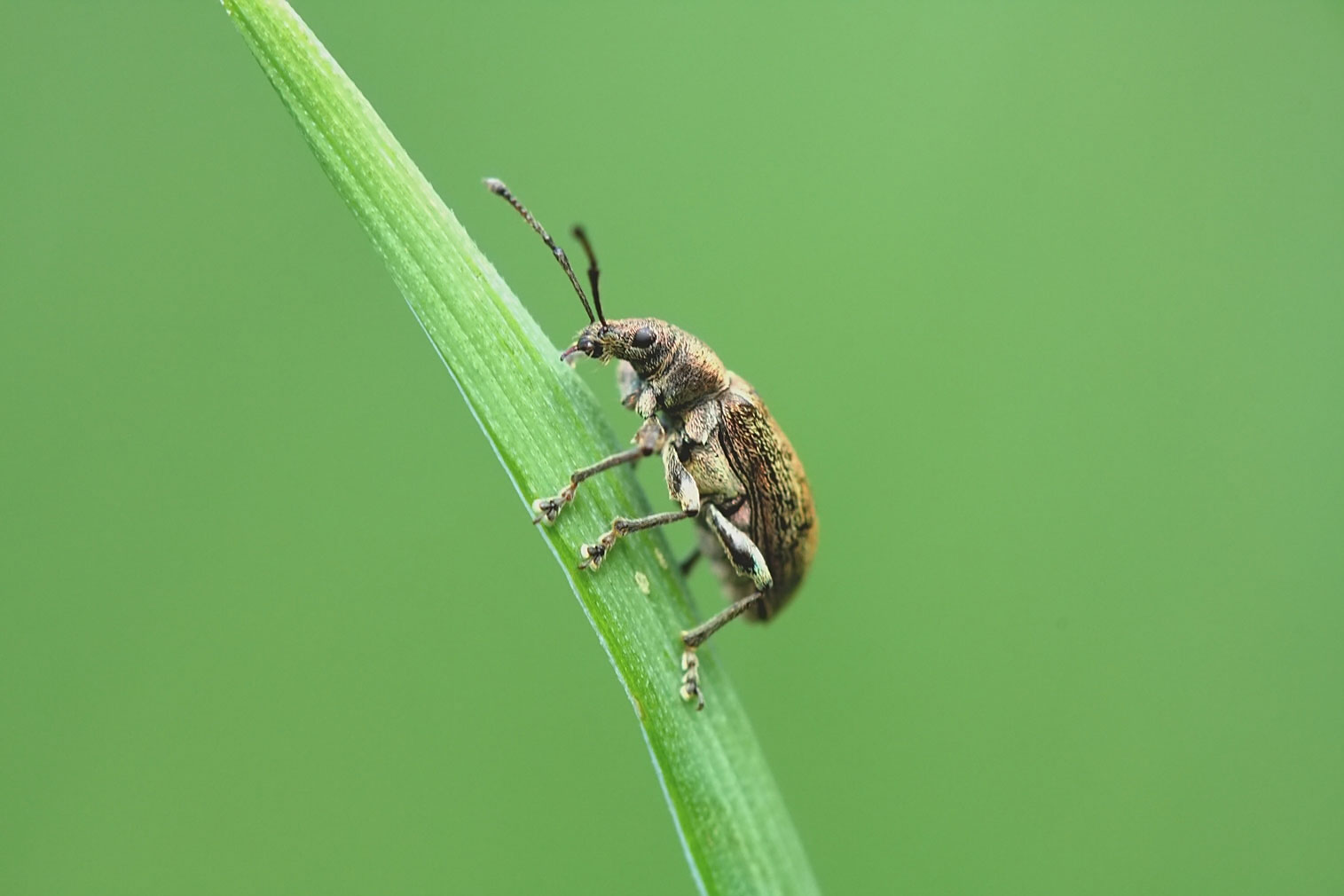 JJ's Photographic nature blog: April 2011