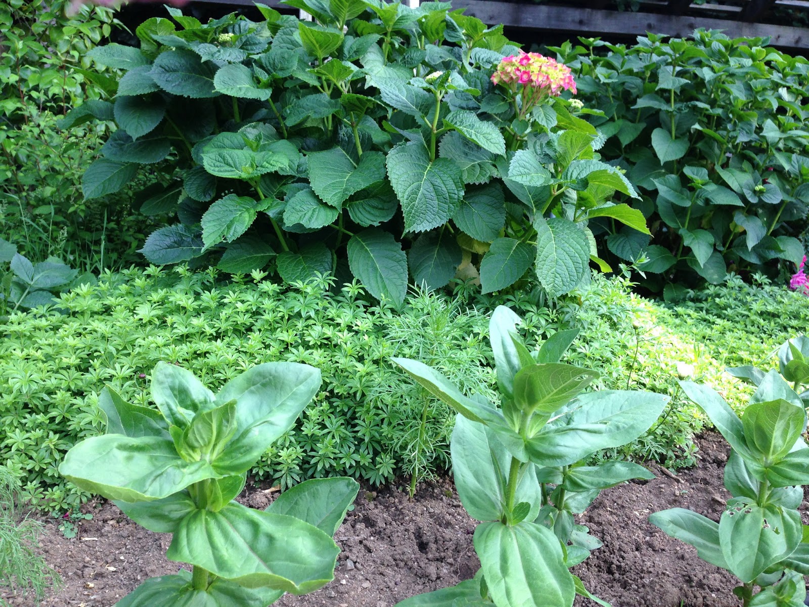 a flower rest - Knitionary