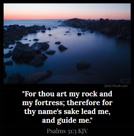 2 Timothy 2:15 Truth: Verse of the Day: Psalms 31:3 KJV