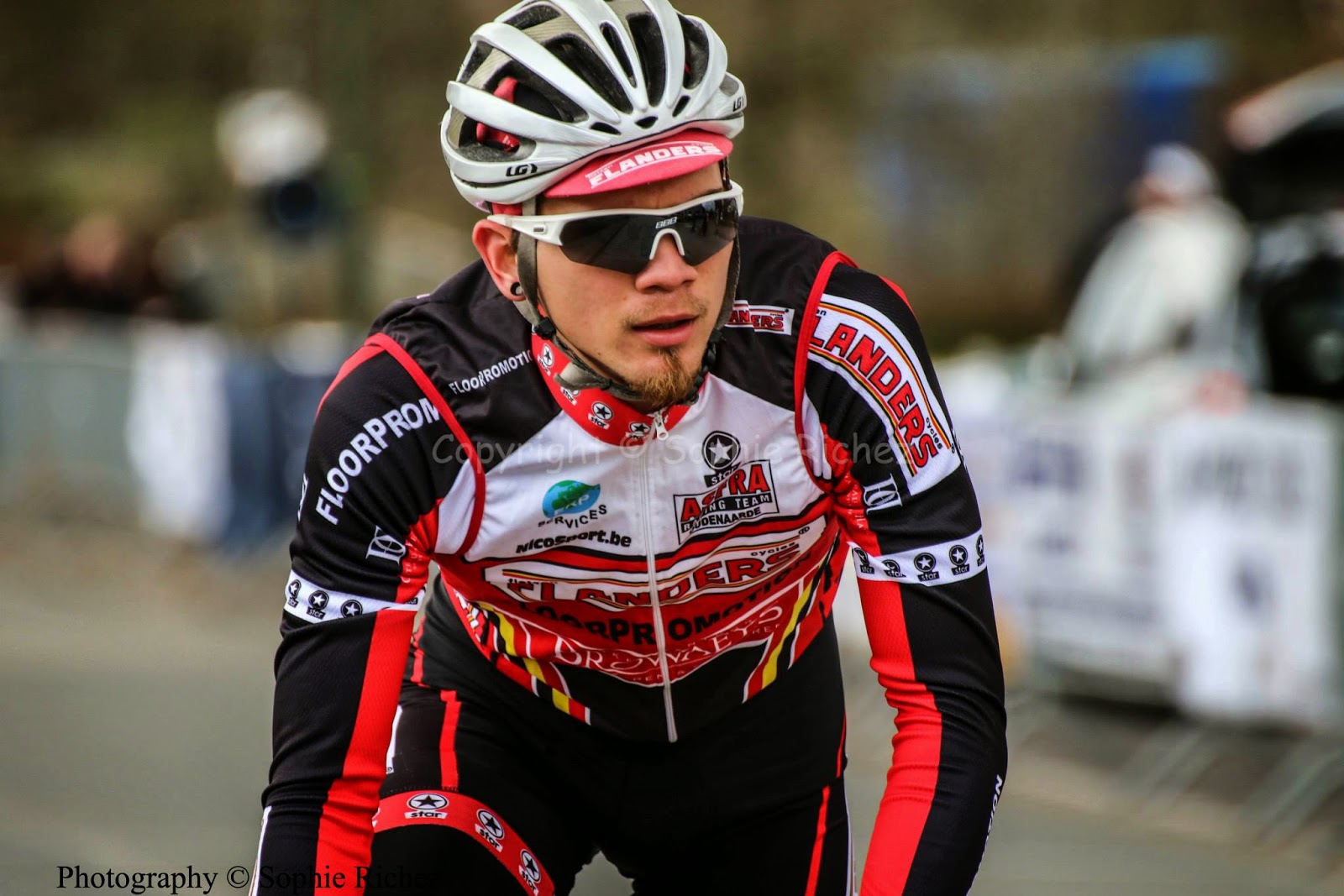 Ivan Cook: 2015 season so far