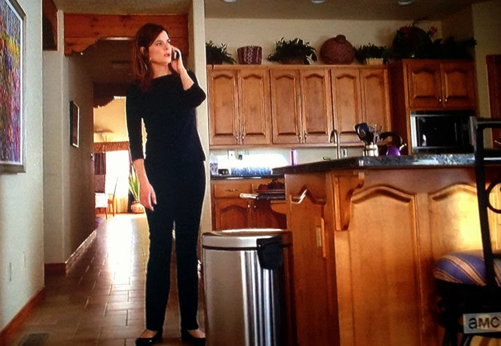 WICKED RUN PRESS: Breaking Bad - The Final Episode Awaits