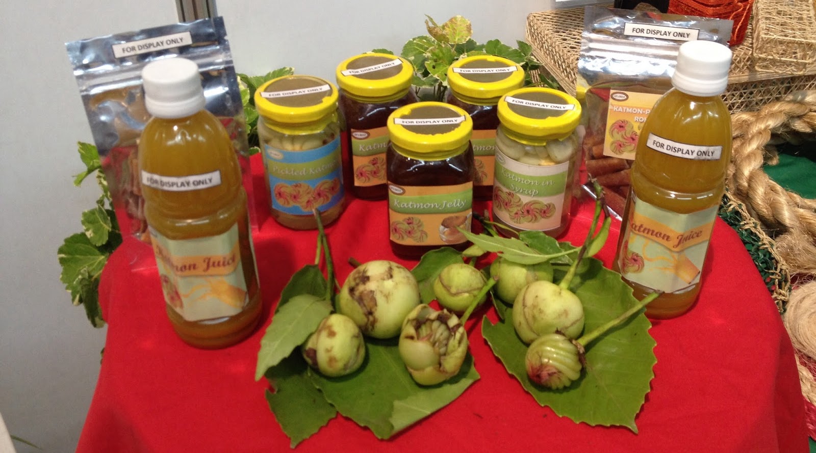 Fidel's Ismo: August 2015