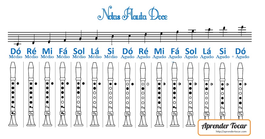 Iniciando na Flauta Doce - Diário de um Cientista