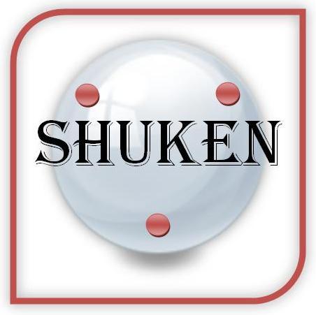SHUKEN CUSTOM POOL CUE