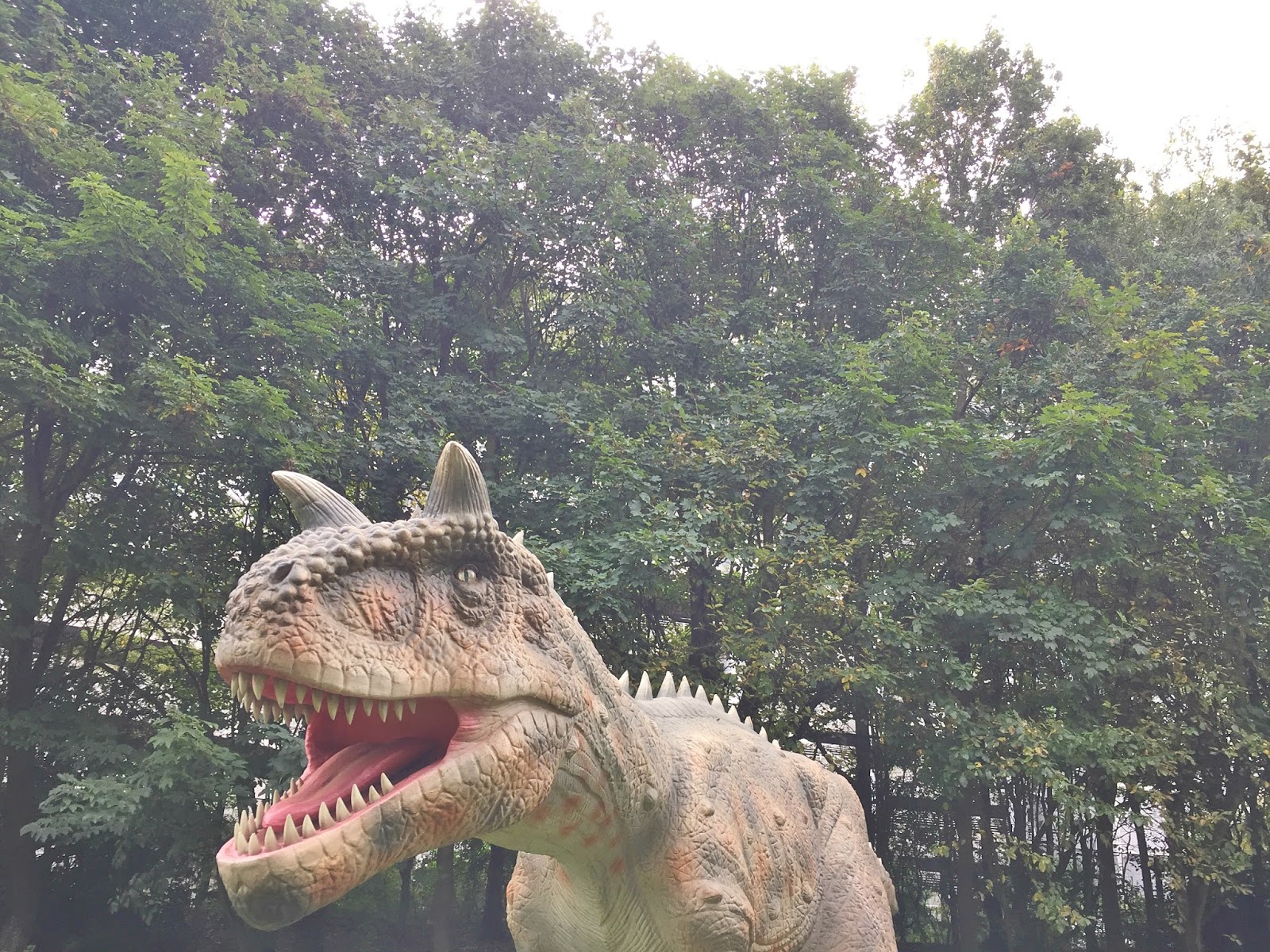Jurassic Kingdom Newcastle Review | Newcastle Family Life