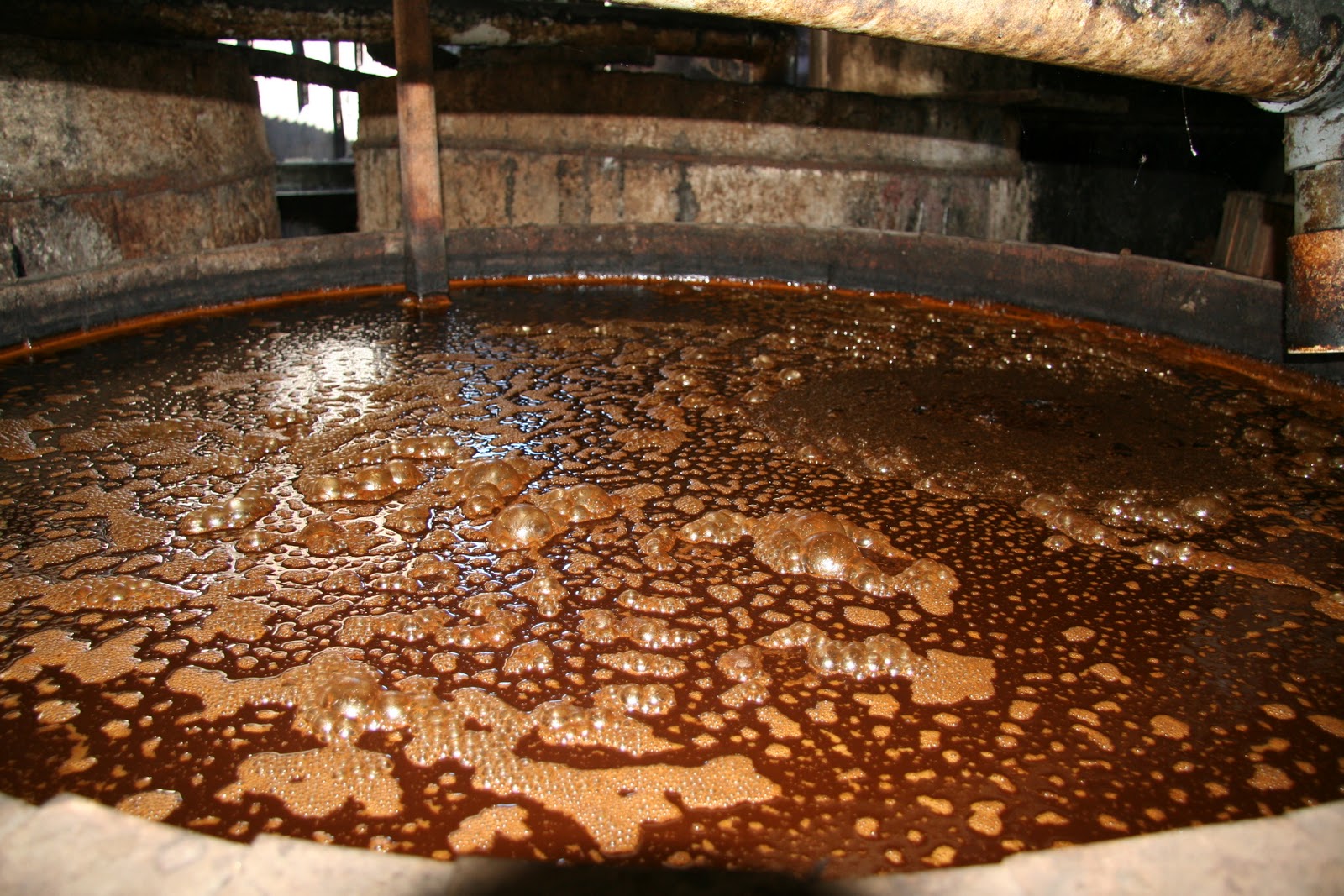 The Rum Collective: Past and Present: A Tour of Hampden Estate