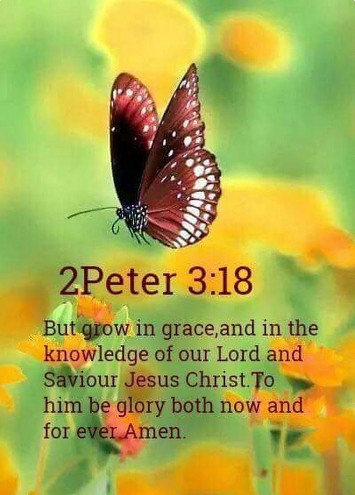 Eagle of Dan: 2 PETER 3( FROM THE CHRISTIAN HOLY BIBLE)WWW.2PETER3 ...