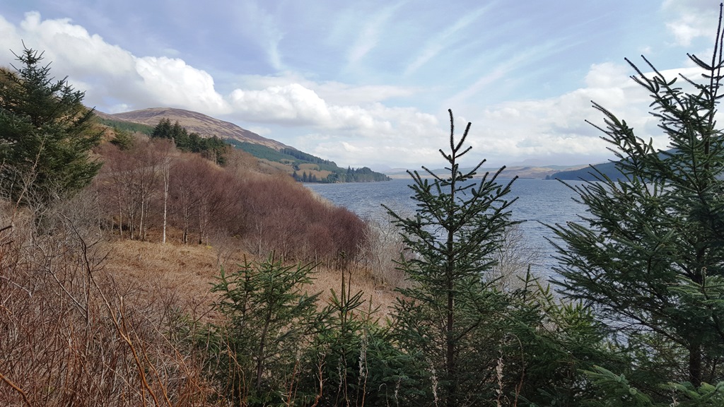 In search of Loch Frisa Plugs - Brambles, Bracken and Brash
