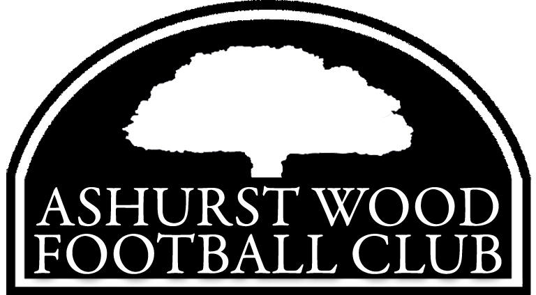 ESCUDOS DO MUNDO INTEIRO: PIRÂMIDE DO FUTEBOL INGLÊS - MID-SUSSEX ...