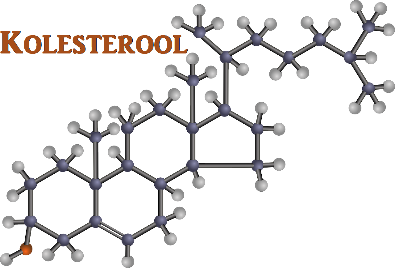 Kolesterool
