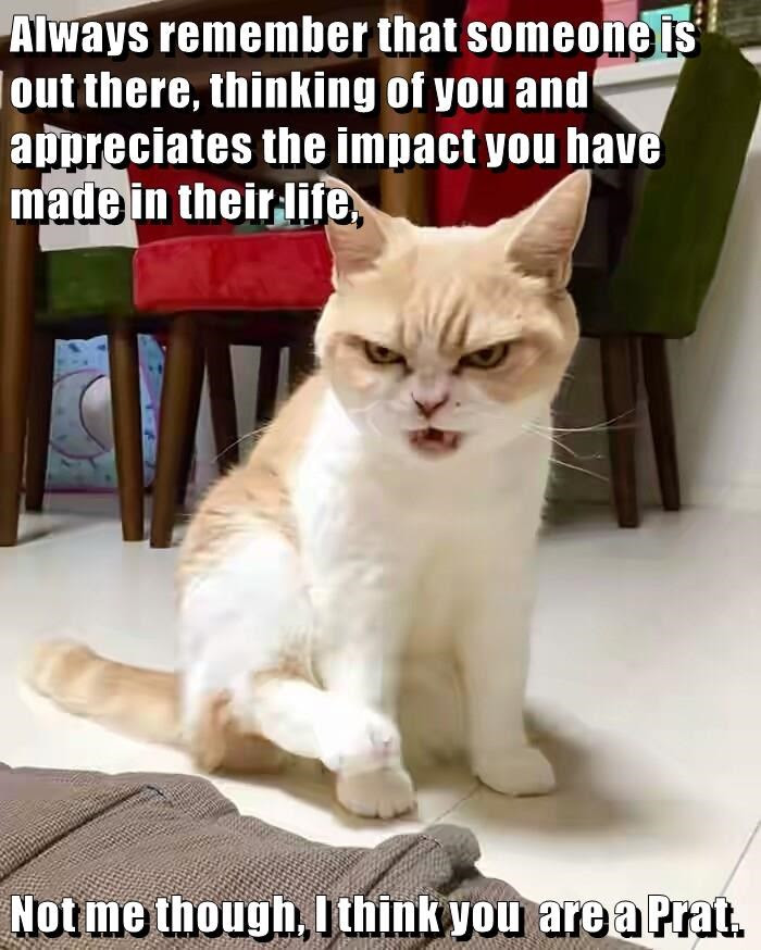 True Book Addict...Books, Cats, and More: 2018