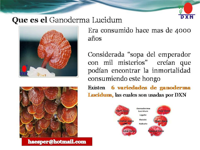 EL GANODERMA | Sudamérica