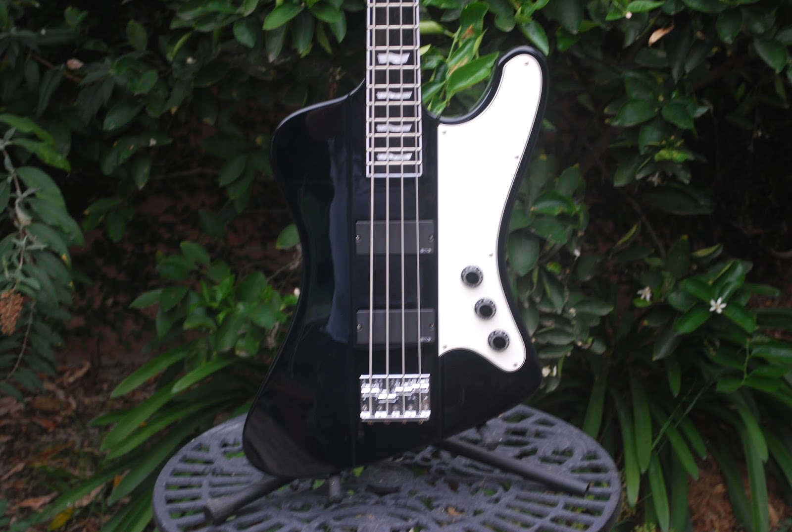 Rex and the Bass: ESP Standard Series Phoenix II B Electric Bass Review