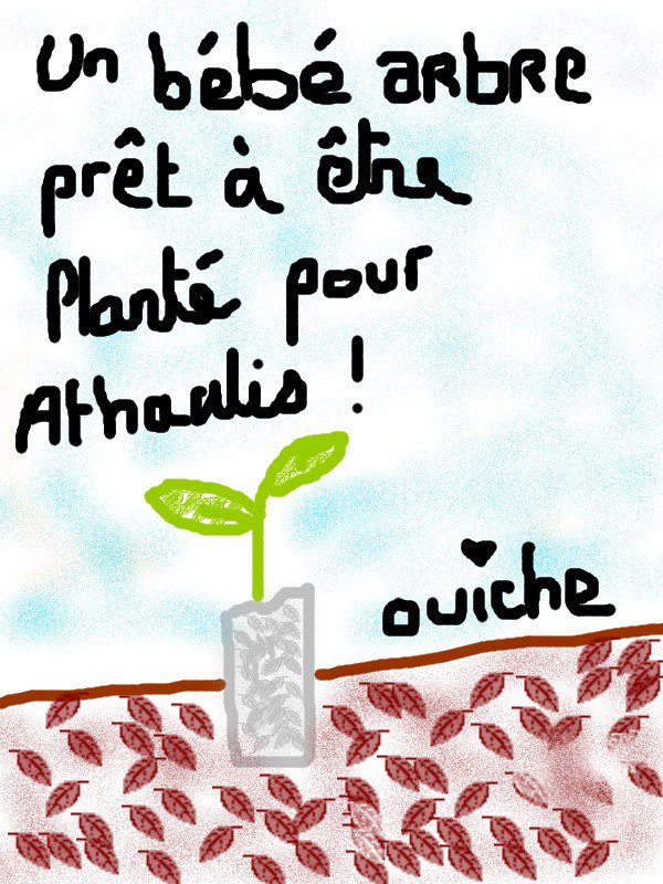 French Vocabulary Illustrated: ouiche