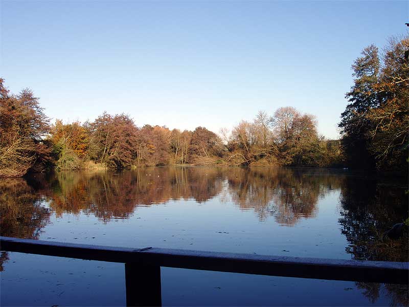 CarpFood: Redmire Pool